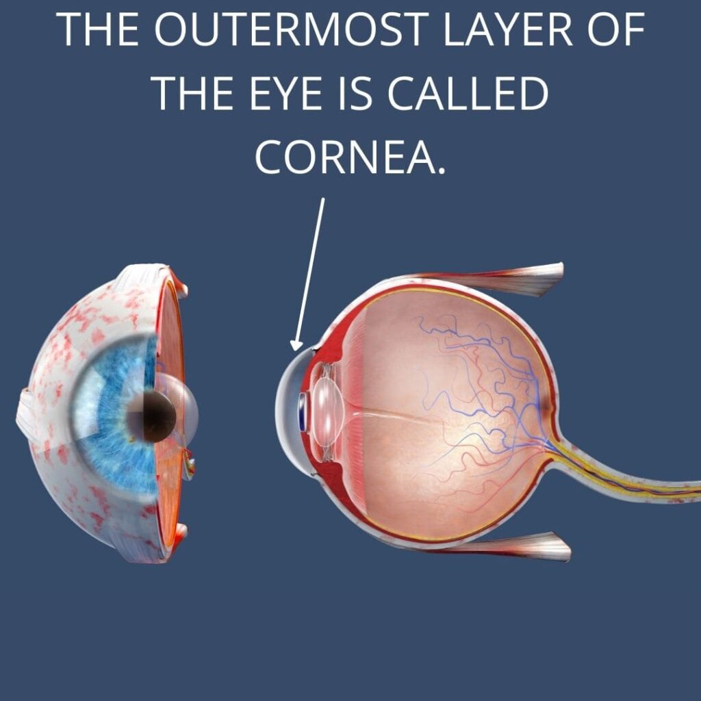 Cornea Services | Cornea Treatment | Visioncare India